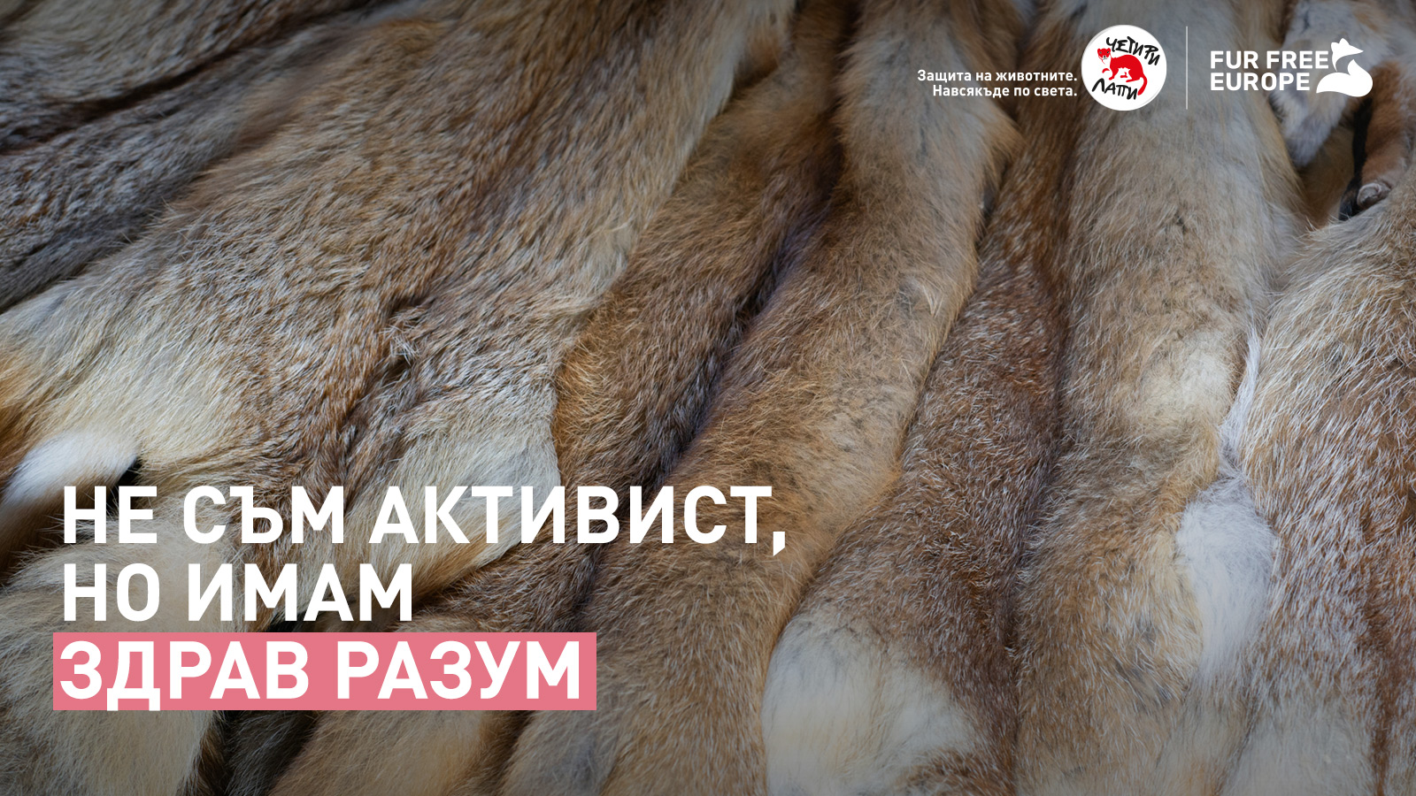 ЧЕТИРИ ЛАПИ в България Организация за защита на животните ЧЕТИРИ